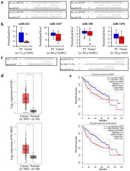 CPSF3 Promotes Pre-mRNA Splicing and Prevents CircRNA Cyclization in ...