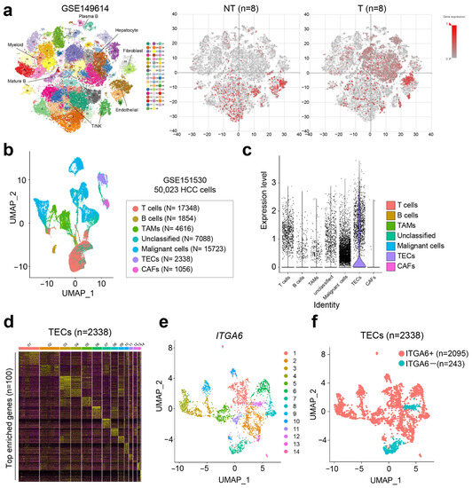 Tumor Endothelial Cells-Associated Integrin Alpha-6 as a Promising ...