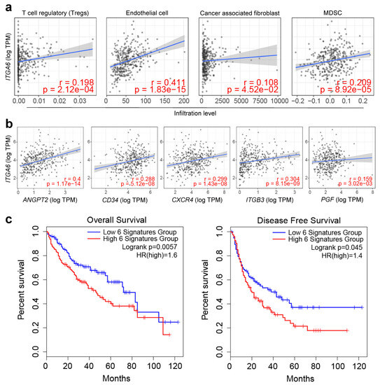 Tumor Endothelial Cells-Associated Integrin Alpha-6 as a Promising ...