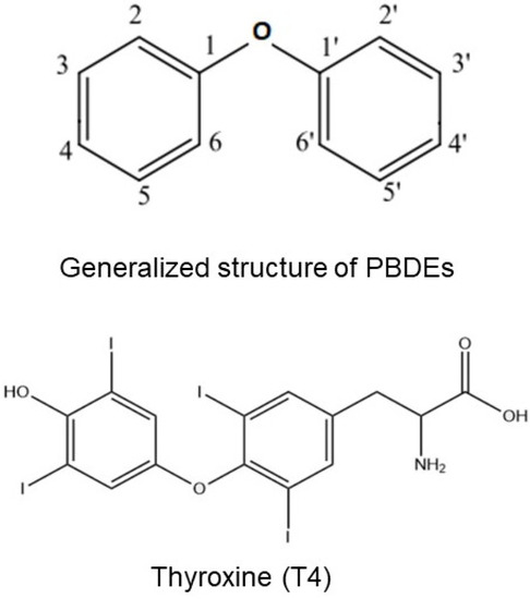 Polybrominated Diphenyl Ethers (PBDEs) and Human Health: Effects on ...