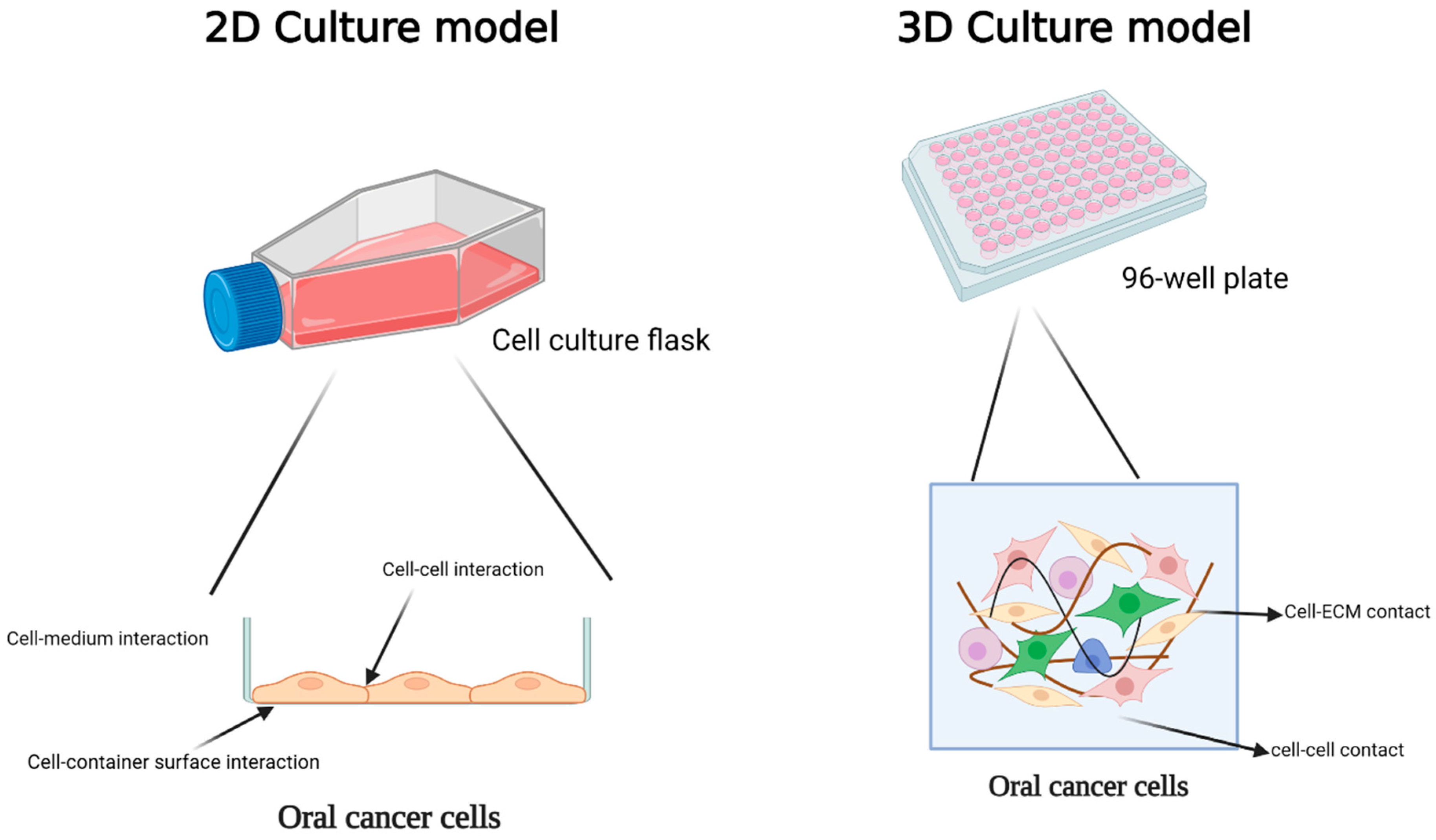 Cancers | Free Full-Text | The Three-Dimensional In Vitro Cell Culture ...