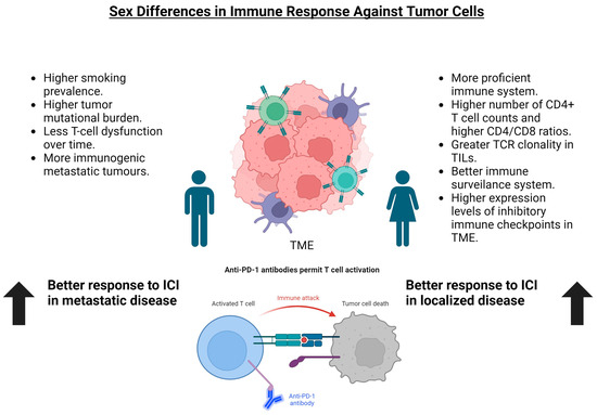 Cancers Free Full Text Sex Differences In The Efficacy Of Immune