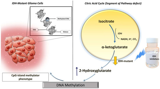 Non-Invasive Assessment of Isocitrate Dehydrogenase-Mutant Gliomas ...