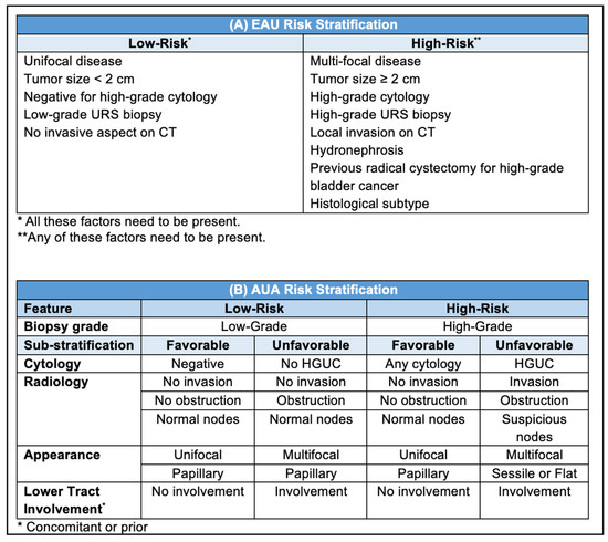 Modern Kidney-Sparing Management of Upper Tract Urothelial Carcinoma