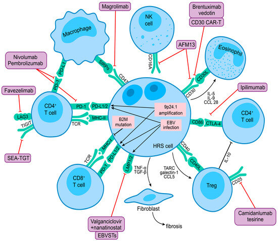 Optimizing Treatment for Relapsed/Refractory Classic Hodgkin Lymphoma ...