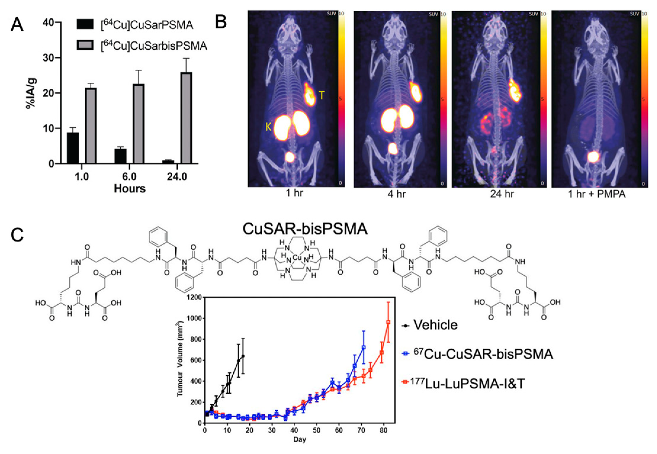 Current Status of Radiolabeled Monoclonal Antibodies Targeting PSMA for ...
