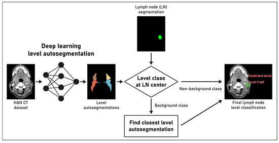 Deep Learning and Registration-Based Mapping for Analyzing the Distribution of Nodal Metastases ...