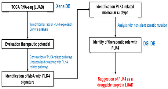 Polo-like Kinase 4: A Multifaceted Marker Linking Tumor Aggressiveness ...