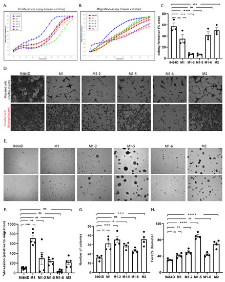 Generation of Novel Immunocompetent Mouse Cell Lines to Model ...