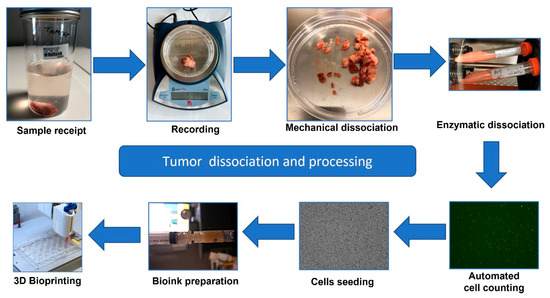World’s First Long-Term Colorectal Cancer Model by 3D Bioprinting as a ...