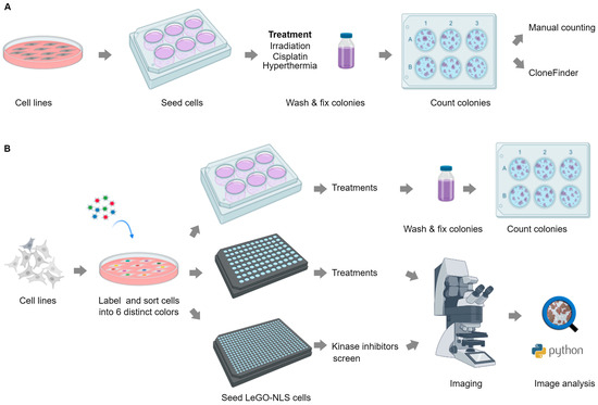 High-Content and High-Throughput Clonogenic Survival Assay Using Fluorescence Barcoding