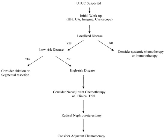 Overview, Diagnosis, and Perioperative Systemic Therapy of Upper Tract ...