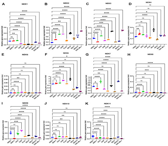 Differential Expression of NEK Kinase Family Members in Esophageal ...