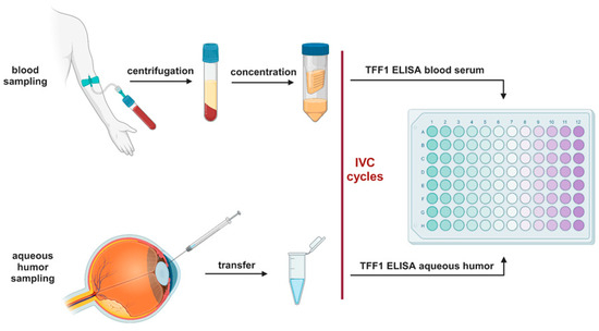 Trefoil Family Factor Peptide 1—A New Biomarker in Liquid Biopsies of ...