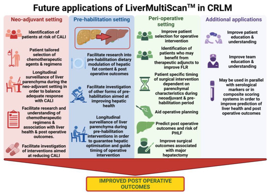 The Role of the Multiparametric MRI LiverMultiScanTM in the ...