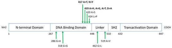 Molecular Characterization of Primary Mediastinal Large B-Cell Lymphomas