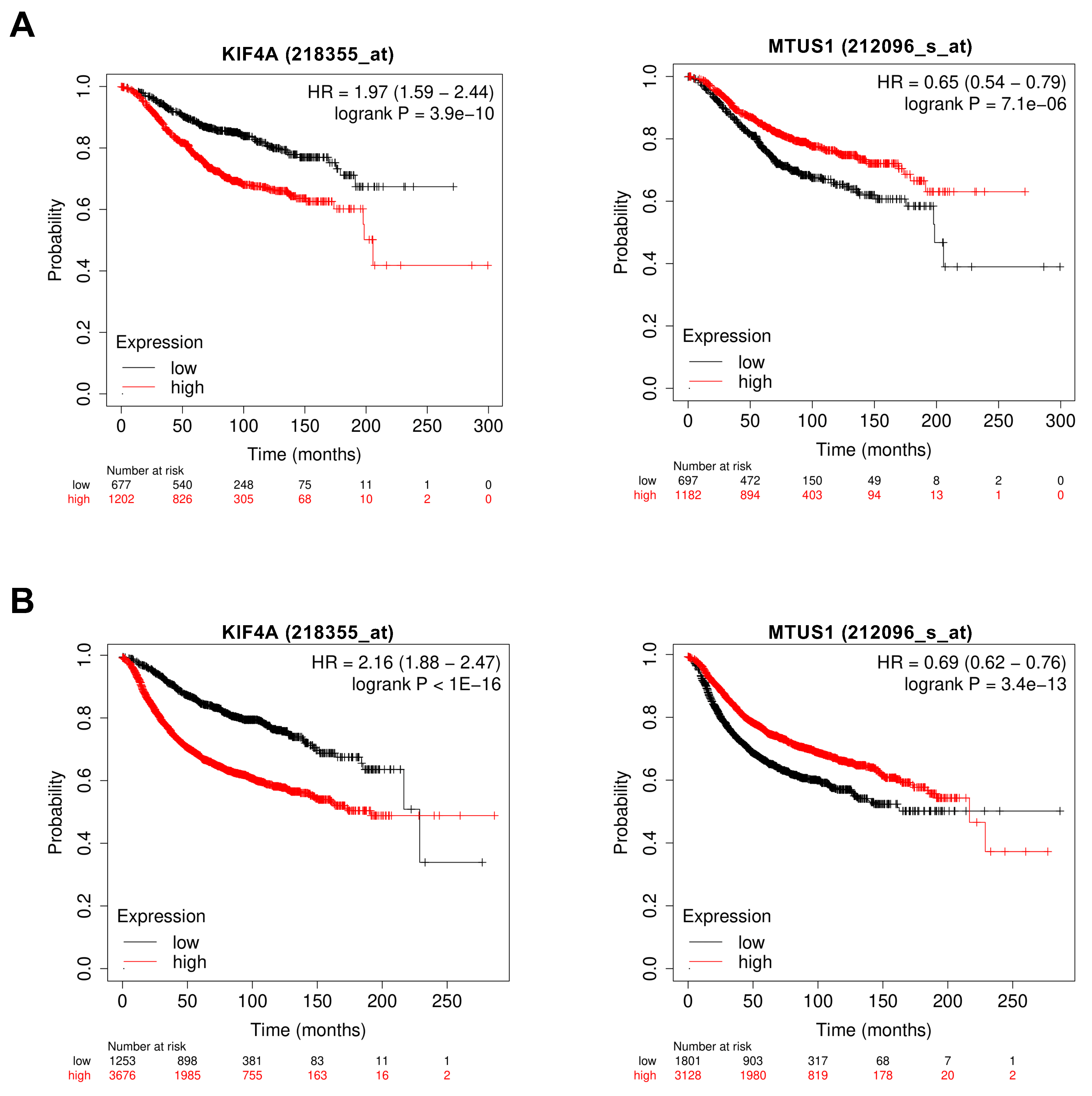 A Network of 17 Microtubule-Related Genes Highlights Functional Deregulations in Breast Cancer