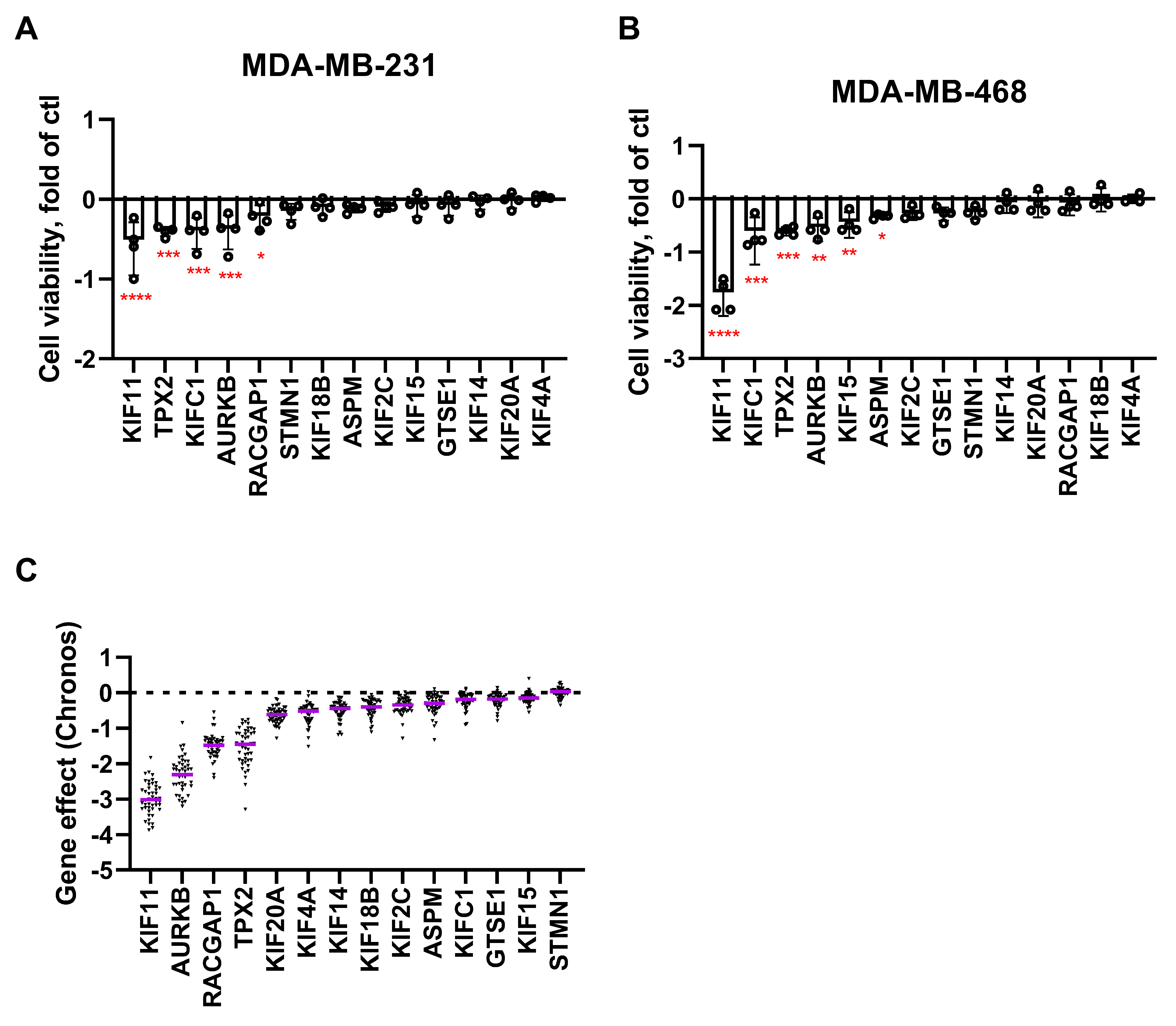 A Network of 17 Microtubule-Related Genes Highlights Functional Deregulations in Breast Cancer