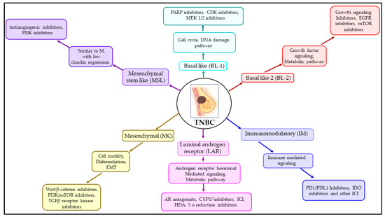 Extracellular Vesicles in Triple–Negative Breast Cancer: Immune ...