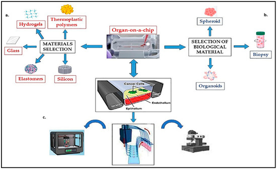 Cell Culture Model Evolution and Its Impact on Improving Therapy ...
