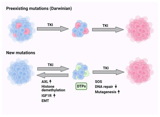 Resistance of Lung Cancer to EGFR-Specific Kinase Inhibitors ...