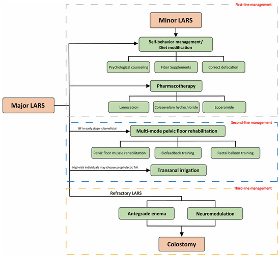 Cancers | Free Full-Text | Clinical Management of Low Anterior ...