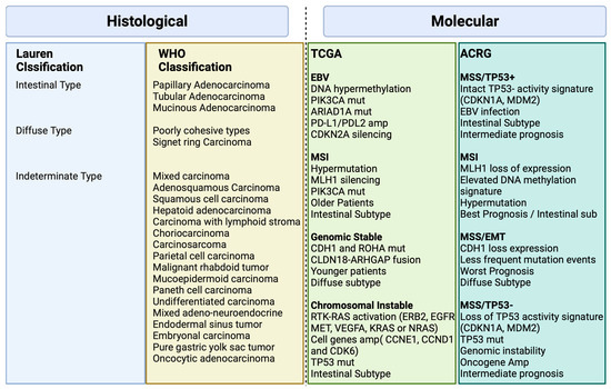 Cancers | Free Full-Text | Gastric Cancer: Molecular Mechanisms, Novel ...