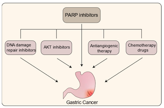 Advancements and Obstacles of PARP Inhibitors in Gastric Cancer