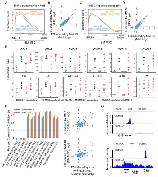 Inflammatory Bone Marrow Mesenchymal Stem Cells in Multiple Myeloma ...