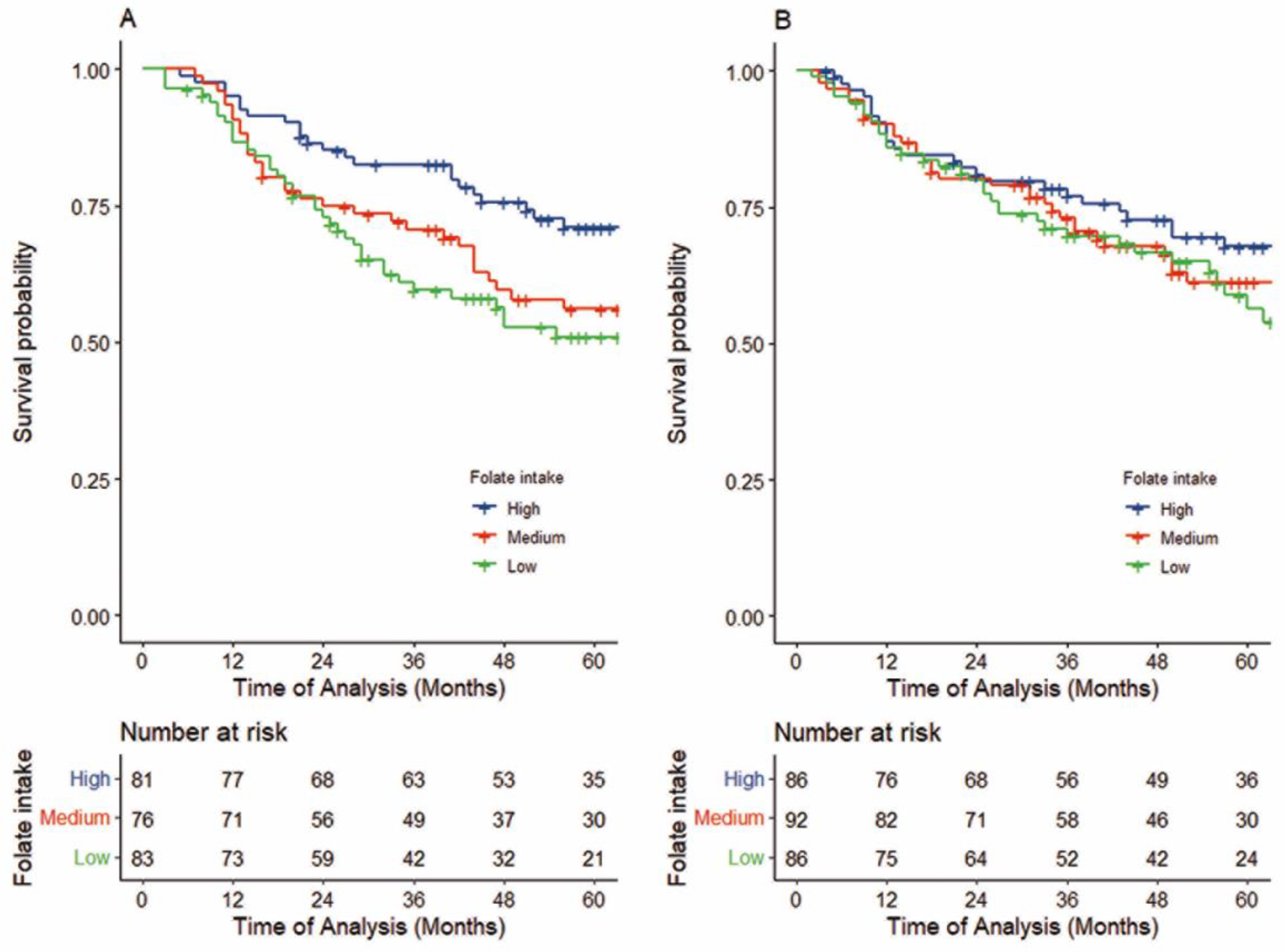 The Heterogeneous Impact of Prediagnostic Folate Intake for ...