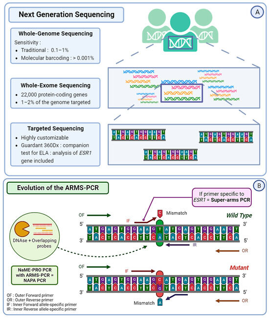 ESR1 Gene Mutations and Liquid Biopsy in ER-Positive Breast Cancers: A ...