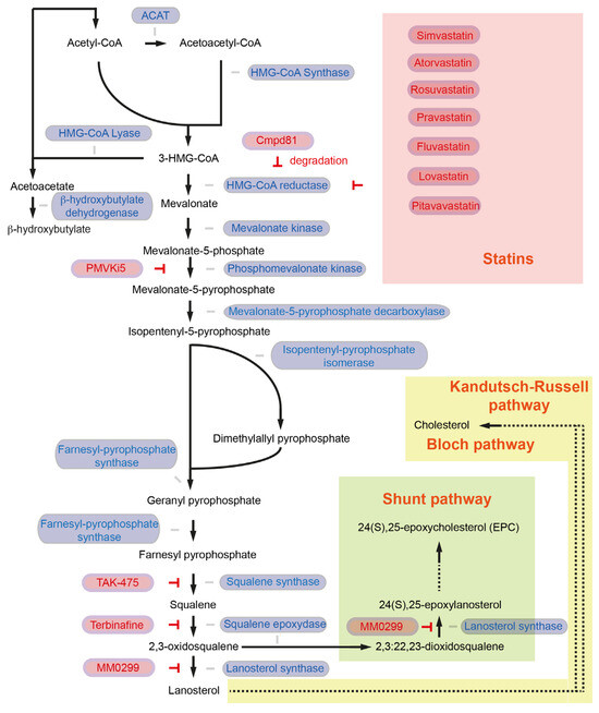 Cholesterol Metabolism in Pancreatic Cancer