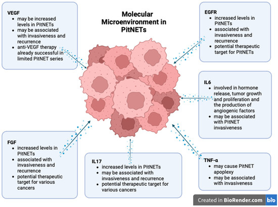Role of Tumor Microenvironment in Pituitary Neuroendocrine Tumors: New ...
