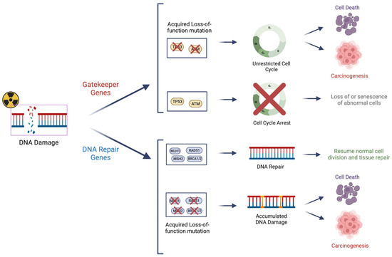 Moving the Needle Forward in Genomically-Guided Precision Radiation ...