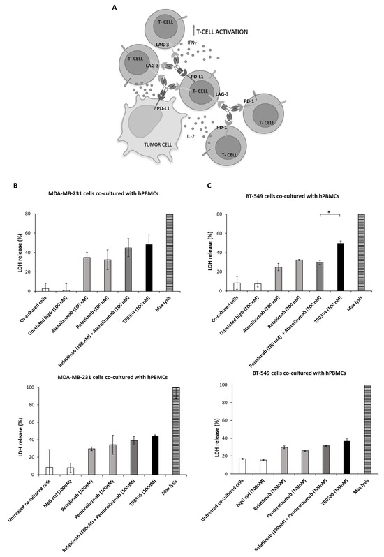 A Comparison of the Antitumor Efficacy of Novel Multi-Specific ...