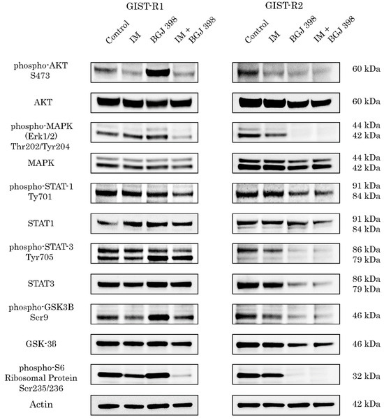 Unraveling the Mechanisms of Sensitivity to Anti-FGF Therapies in ...