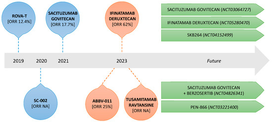 Cancers | Free Full-Text | Unlocking New Horizons in Small-Cell Lung ...