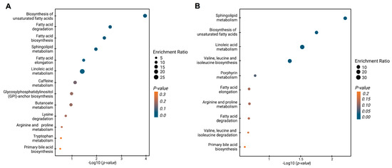 Unveiling Disrupted Lipid Metabolism in Benign Prostate Hyperplasia ...