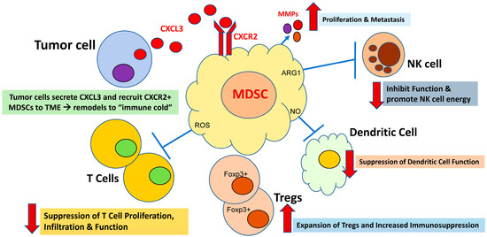 Targeting Myeloid-Derived Suppressor Cell Trafficking as a Novel ...