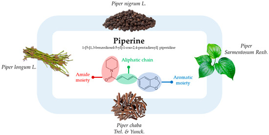 The Promise of Piperine in Cancer Chemoprevention