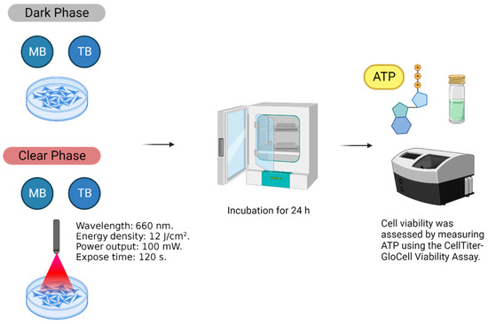 Photodynamic Therapy with an Association of Methylene Blue and ...