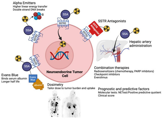 Emerging Precision Medicine Approaches for Lung Neuroendocrine Tumors