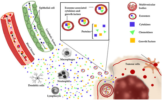 Cancers | Free Full-Text | Recent Advances in Surface Plasmon Resonance ...