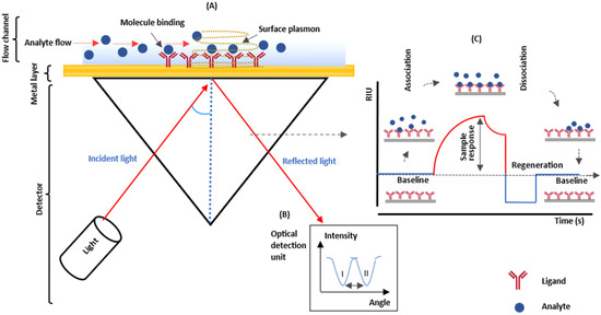 Cancers | Free Full-Text | Recent Advances in Surface Plasmon Resonance ...