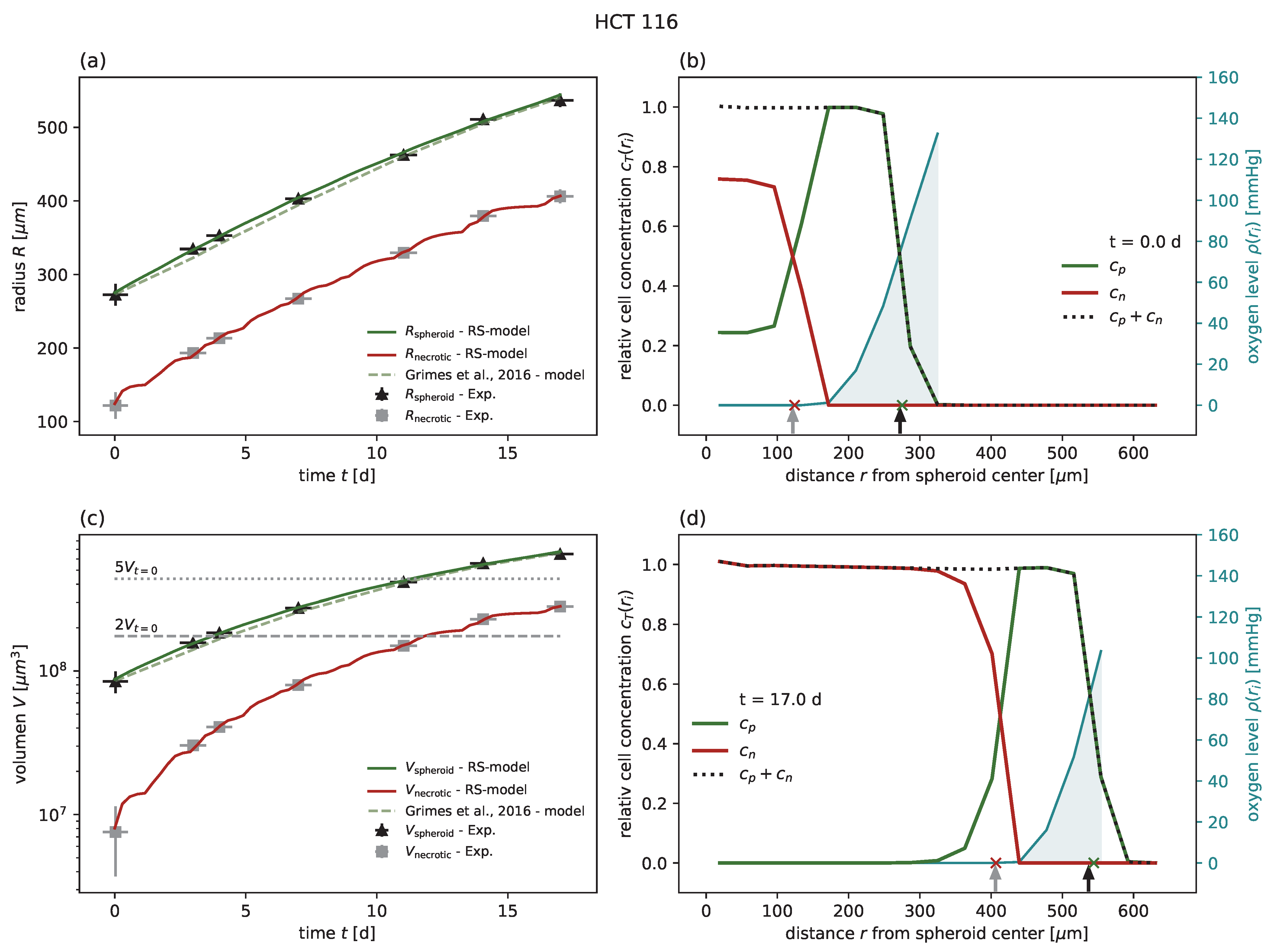 Efficient Radial-Shell Model for 3D Tumor Spheroid Dynamics with ...