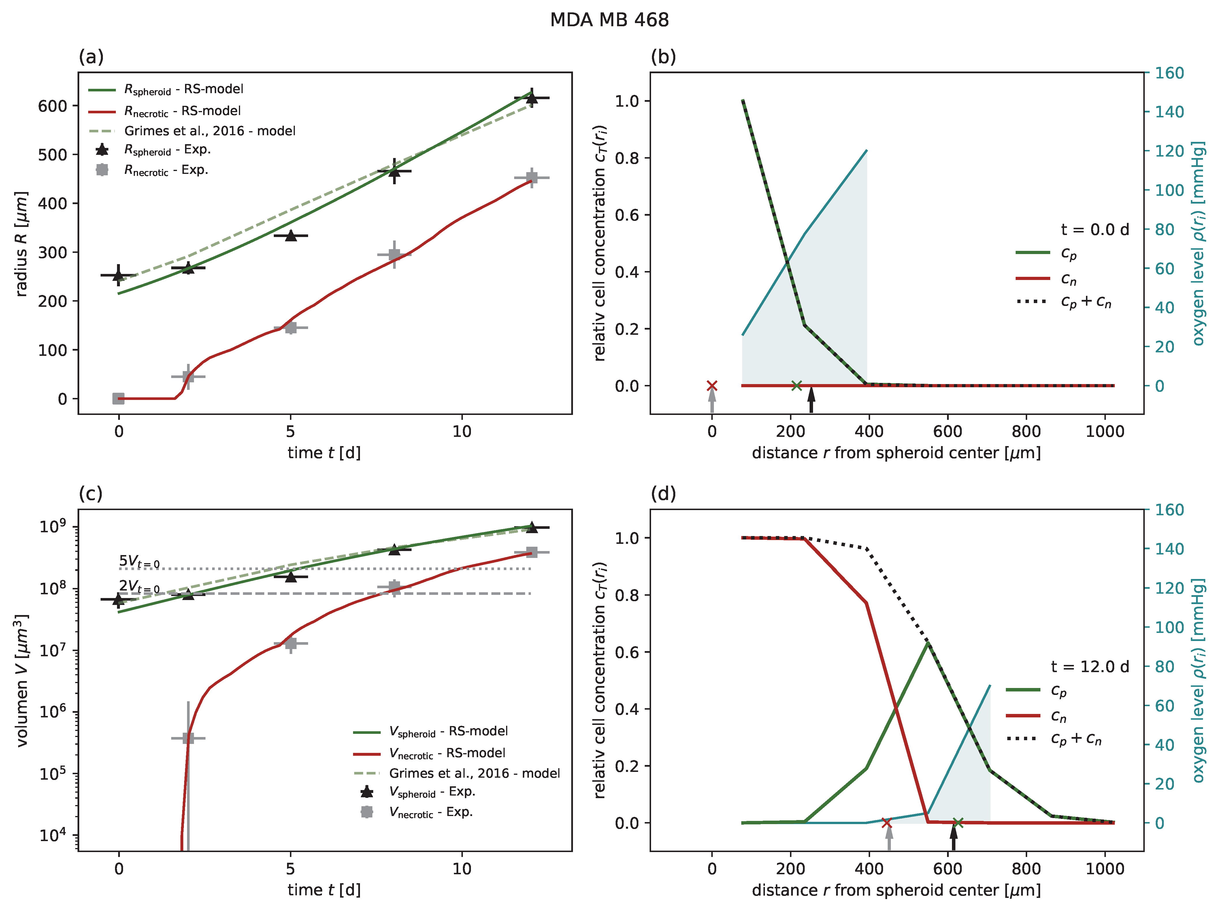 Efficient Radial-Shell Model for 3D Tumor Spheroid Dynamics with ...