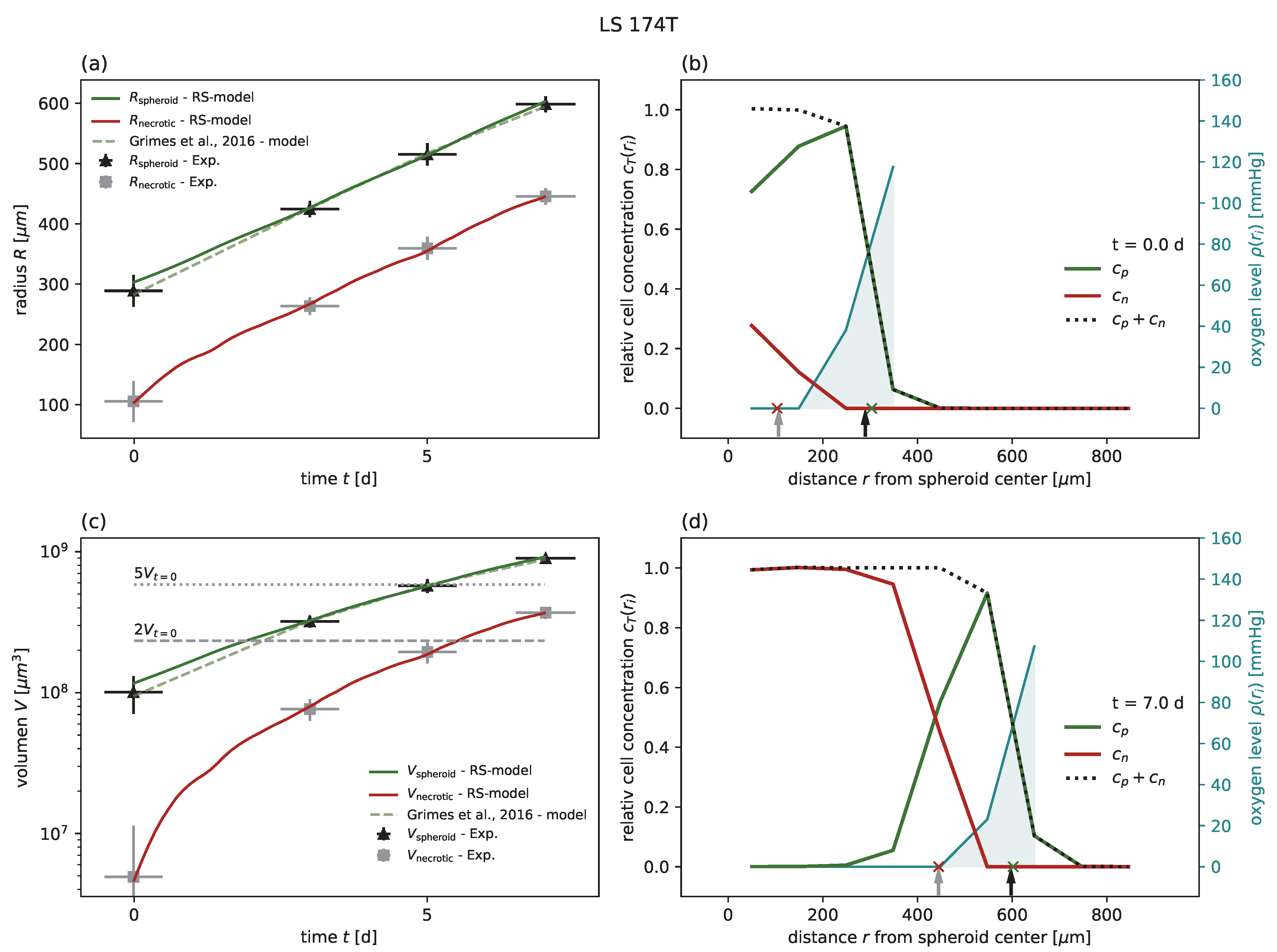 Efficient Radial-Shell Model for 3D Tumor Spheroid Dynamics with ...