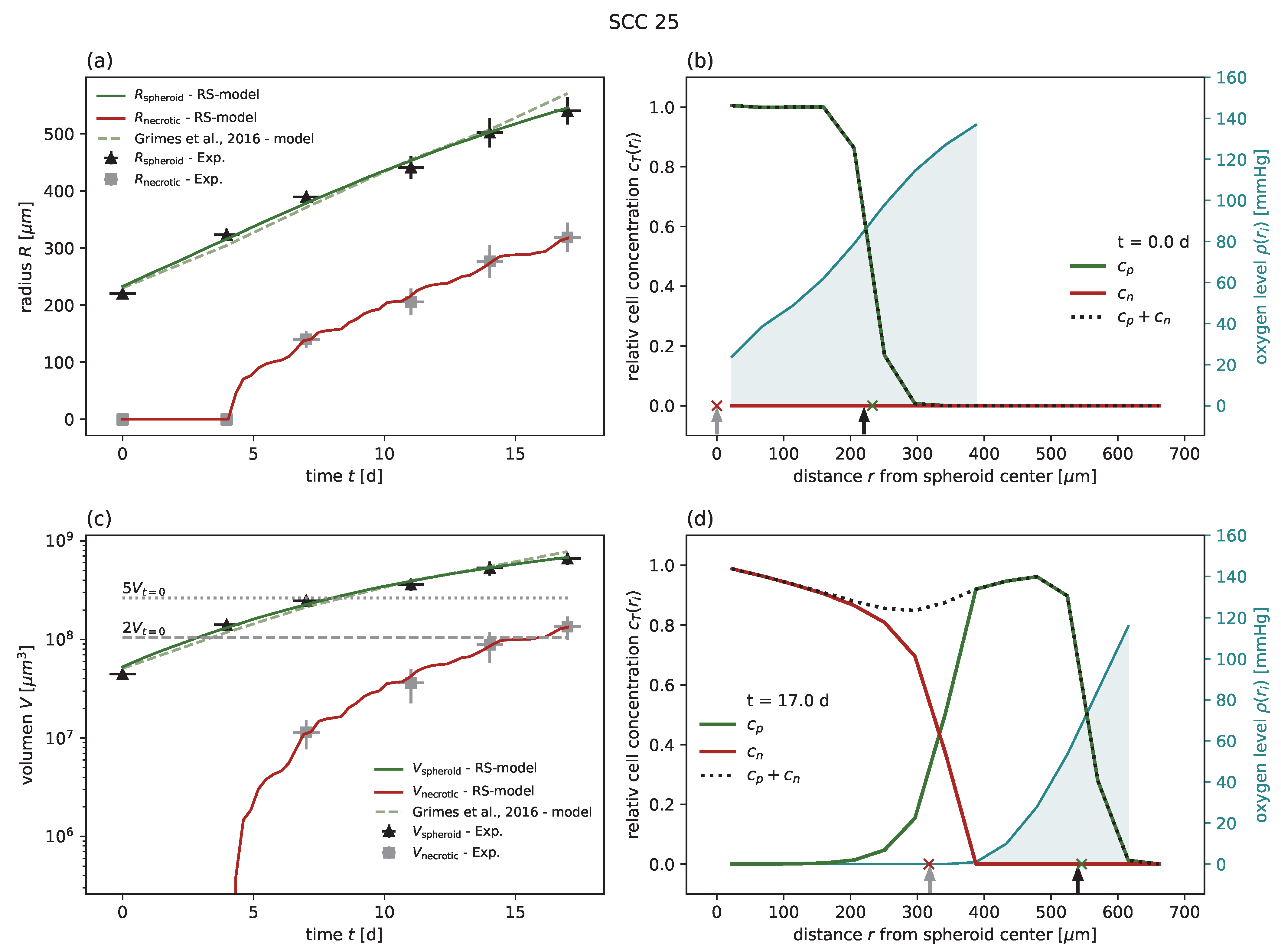 Cancers | Free Full-Text | Efficient Radial-Shell Model for 3D Tumor ...