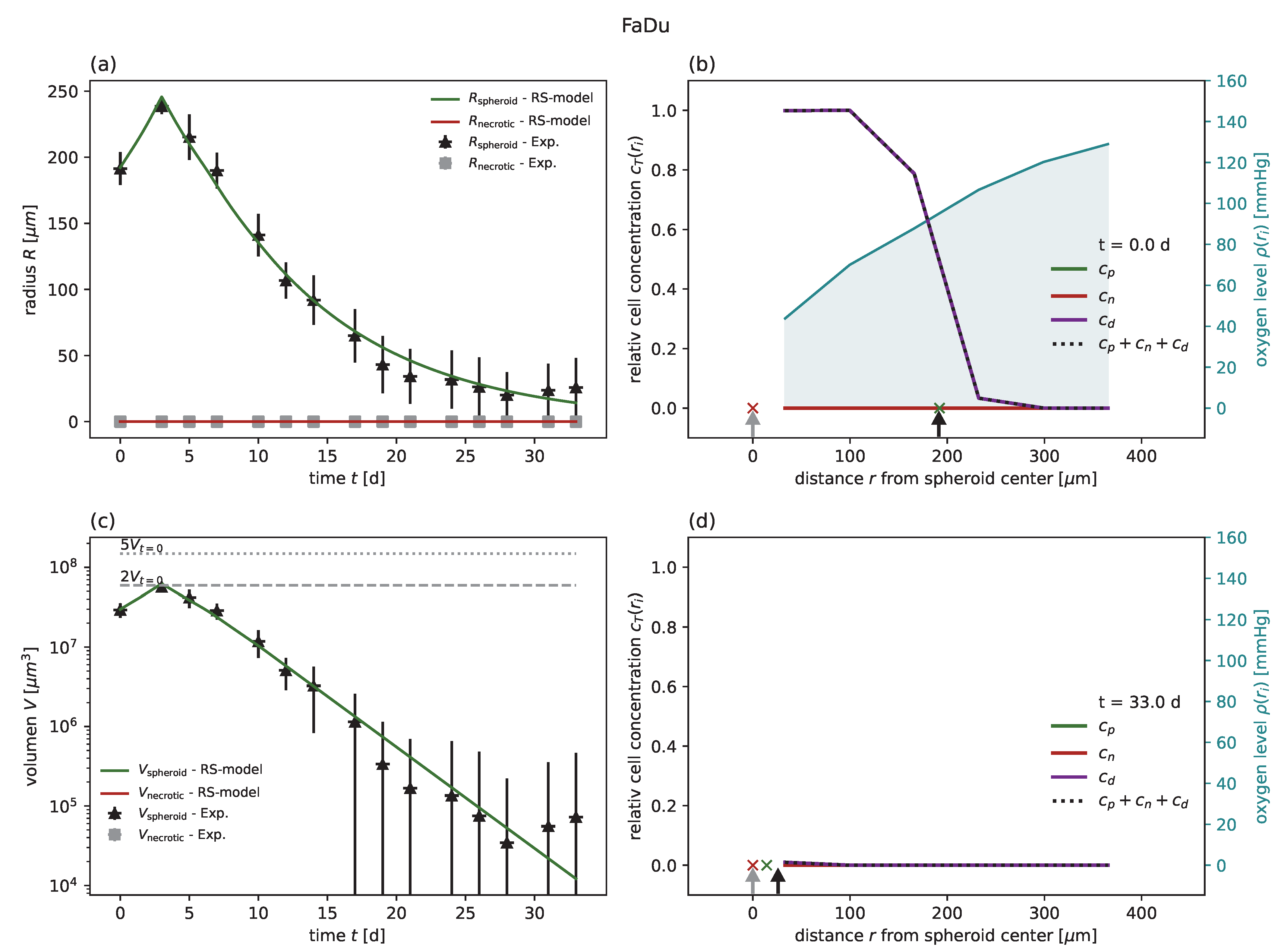 Efficient Radial-Shell Model for 3D Tumor Spheroid Dynamics with ...