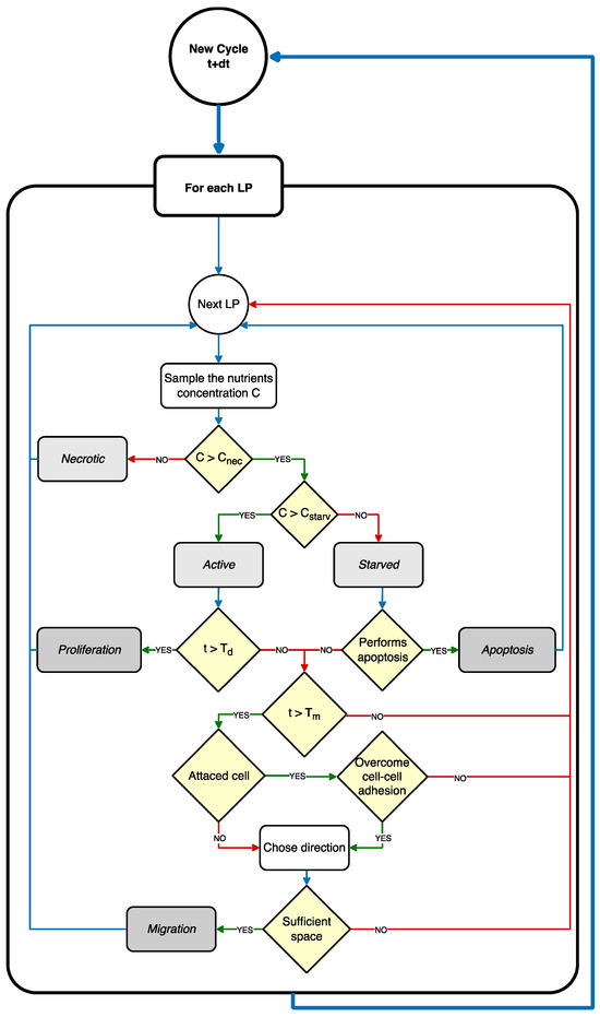 Hybrid Cellular Automata Modeling Reveals the Effects of Glucose ...